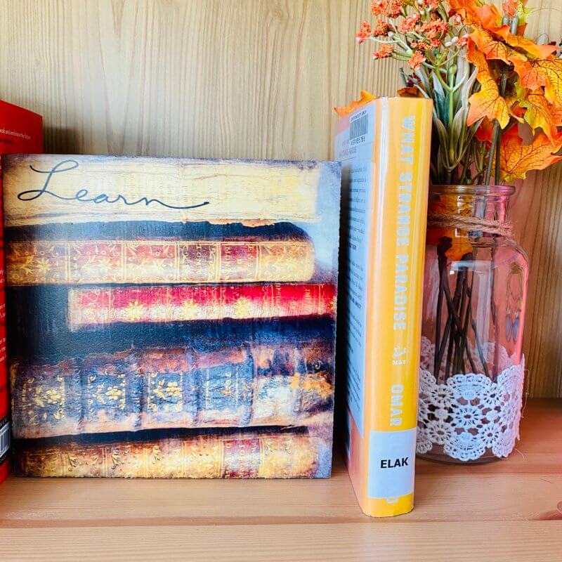 What Strange Paradise bookthoughts Armed With A Book What Strange Paradise bookthoughts Armed With A Book