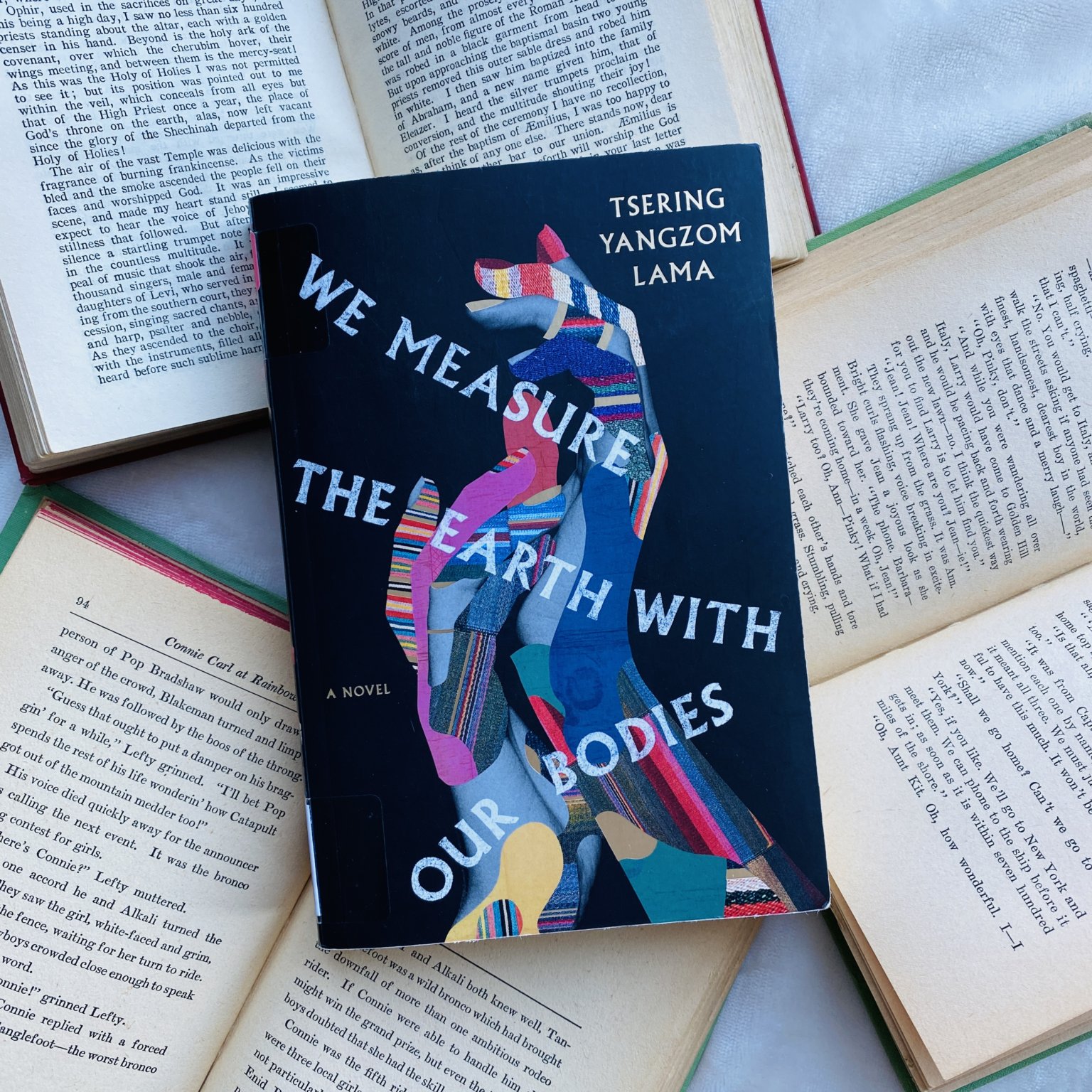 We Measure the Earth with Our Bodies - Armed with A Book