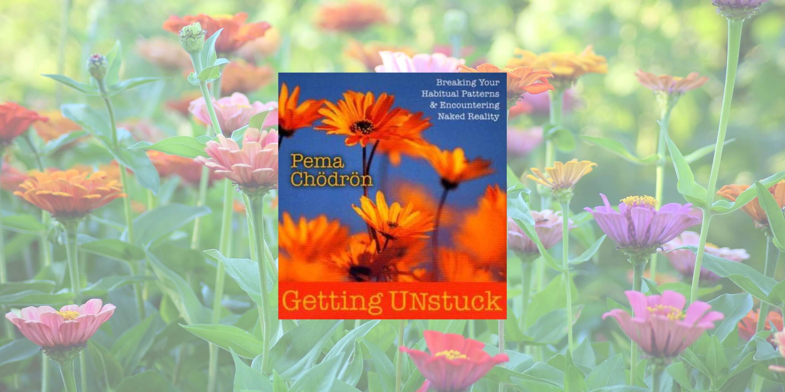 Getting Unstuck by Pema Chödrön - Notes & Takeaways - Armed with A Book
