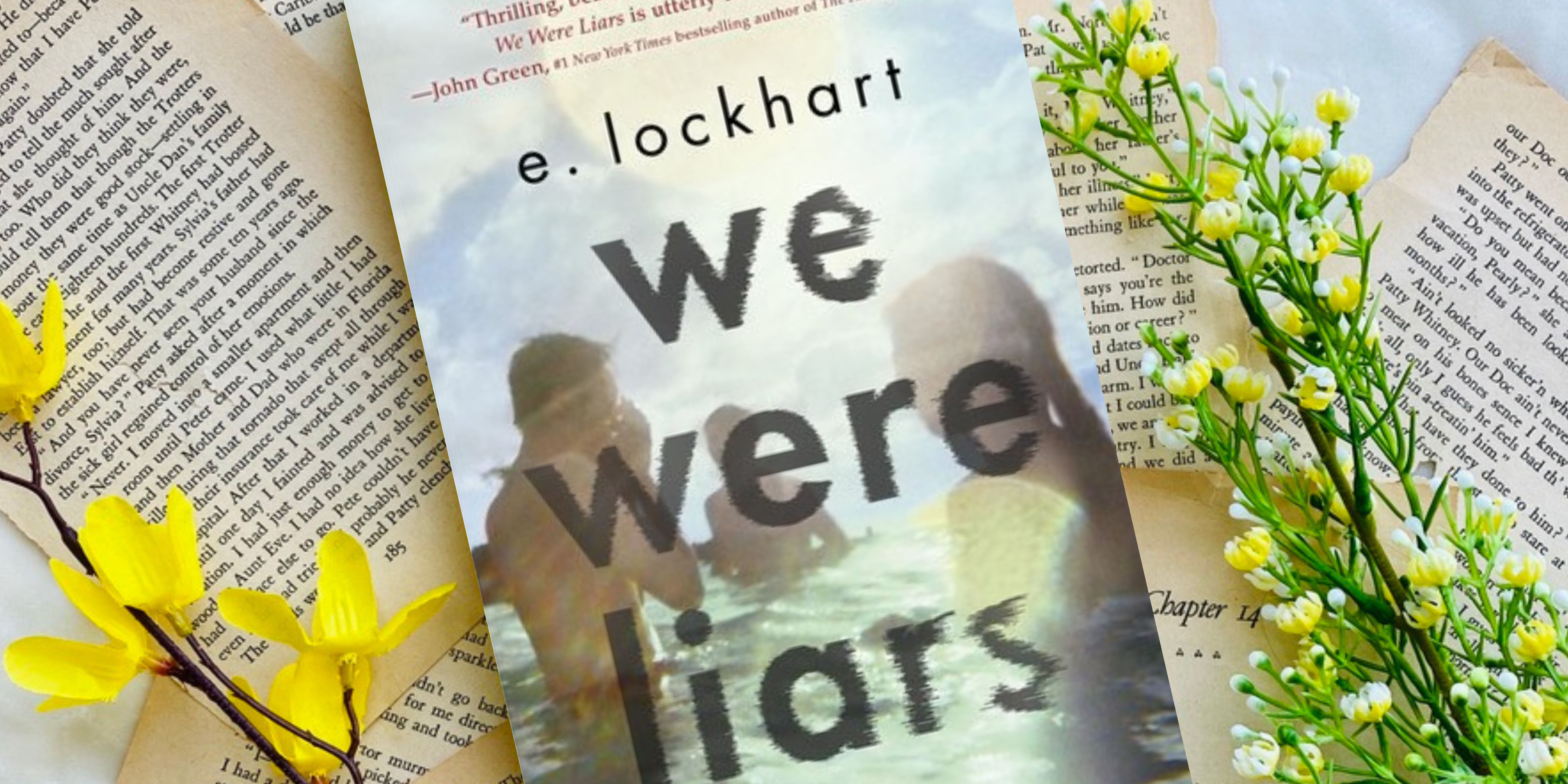 We Were Liars by E. Lockhart - Book Review - Armed with A Book